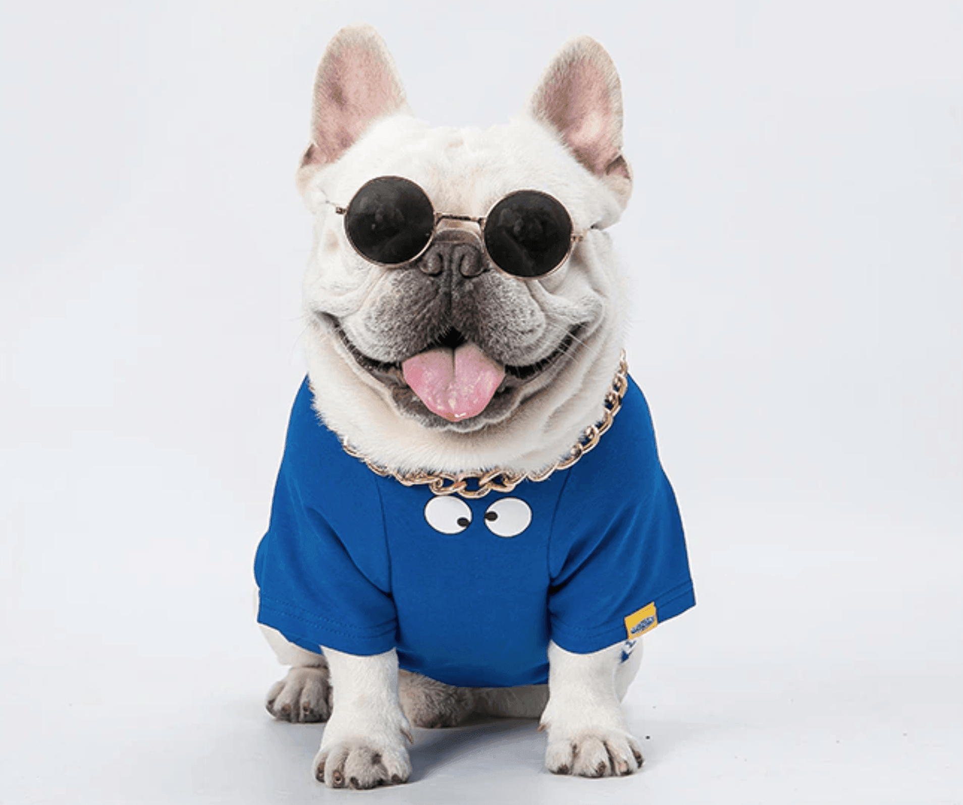 Round Stylish Dog Glasses – Silly Doggo